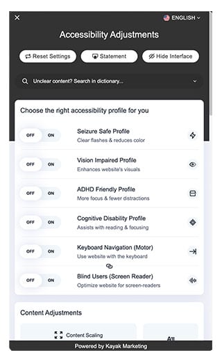 What are Website Accessibility Best Practices in North America?